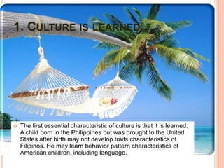 Characteristics of culture | PPTX