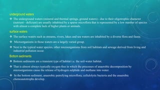 ENVIRONMENTAL MICROFLORA | PPTX