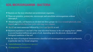 ENVIRONMENTAL MICROFLORA | PPT