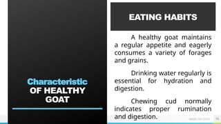 powerpointpresentation CHARACTERISTICS OF healthy GOAT.pptx