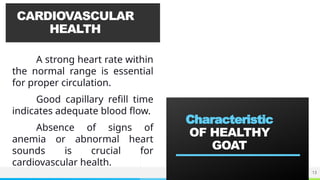 powerpointpresentation CHARACTERISTICS OF healthy GOAT.pptx