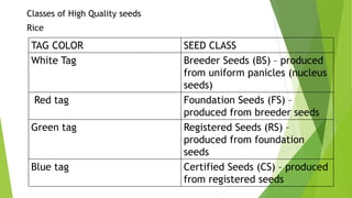 Characteristics of Good Quality Seeds.pptx