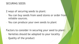 Characteristics of Good Quality Seeds.pptx