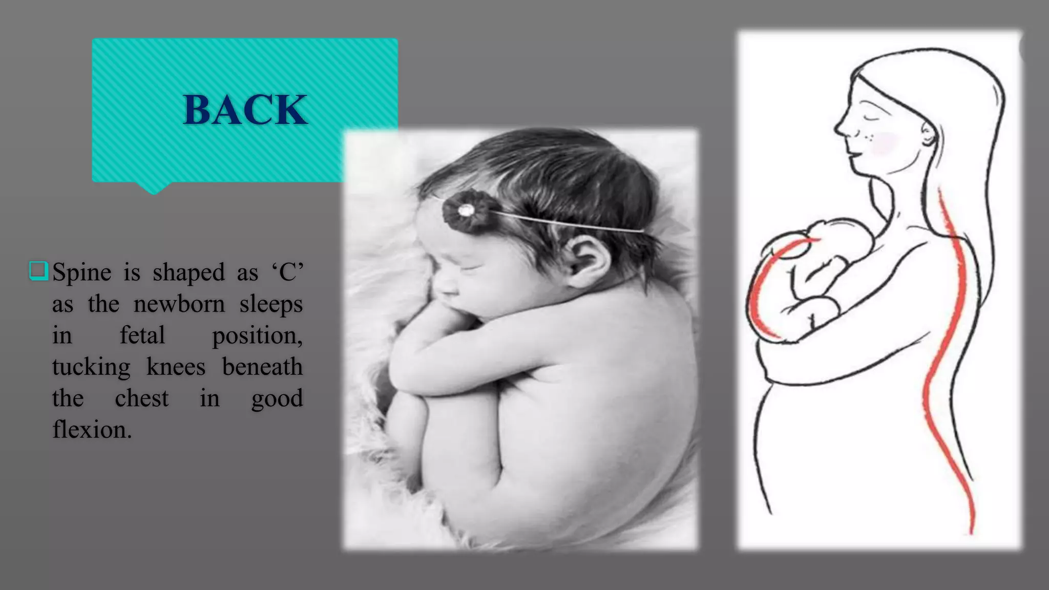 Characteristics of a Healthy Newborn | PPTX
