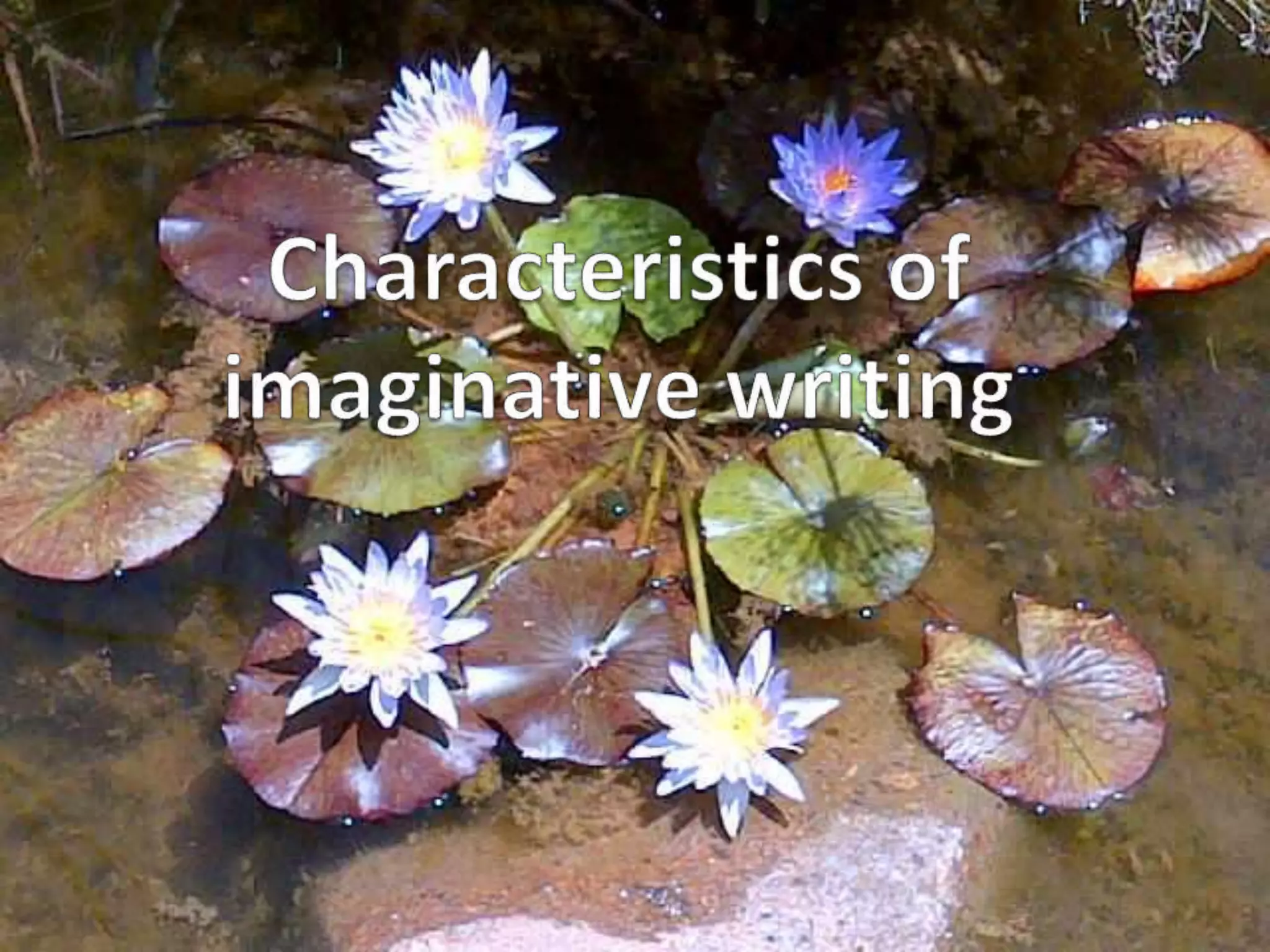 Characteristics of imaginative writing | PPTX