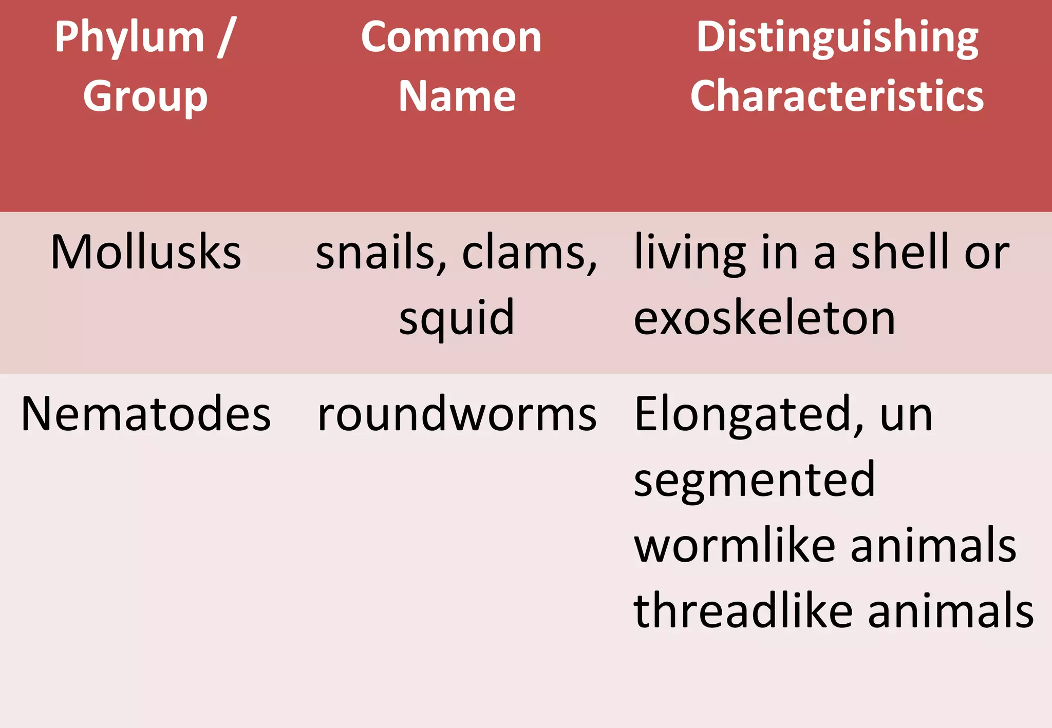 Characteristics of invertebrate animals | PPT