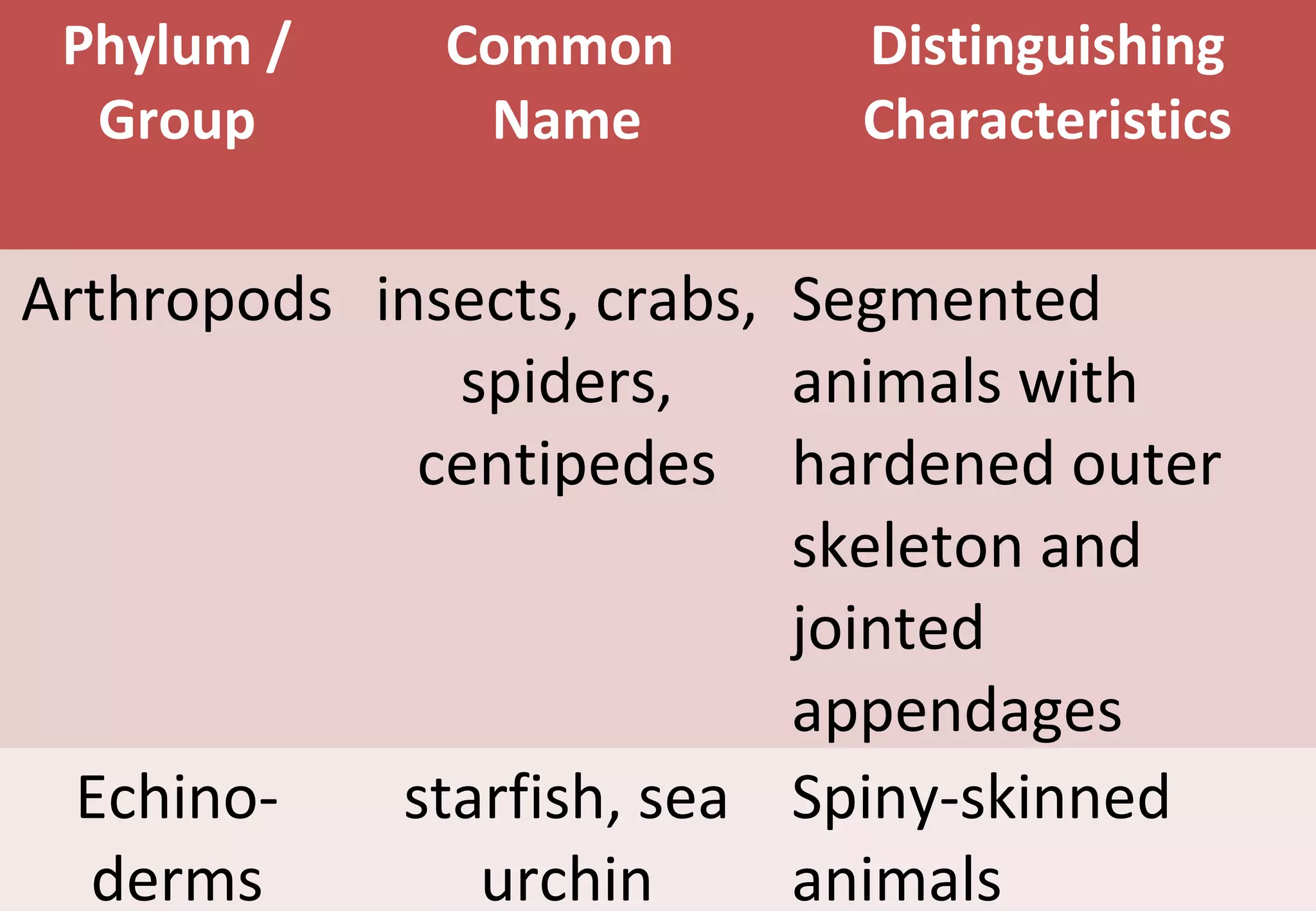 Characteristics of invertebrate animals | PPT