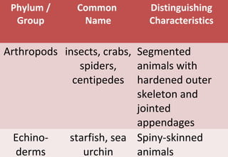 Characteristics of invertebrate animals | PPT