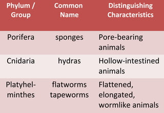 Characteristics Of Invertebrate Groups