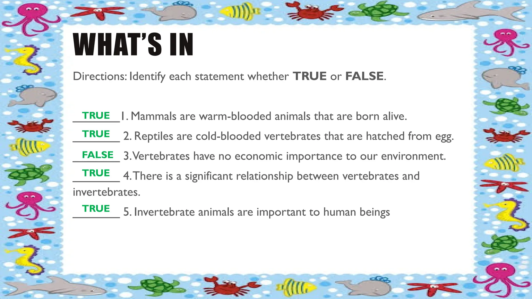 GRADE 6 - CHARACTERISTICS OF INVERTEBRATES.pptx