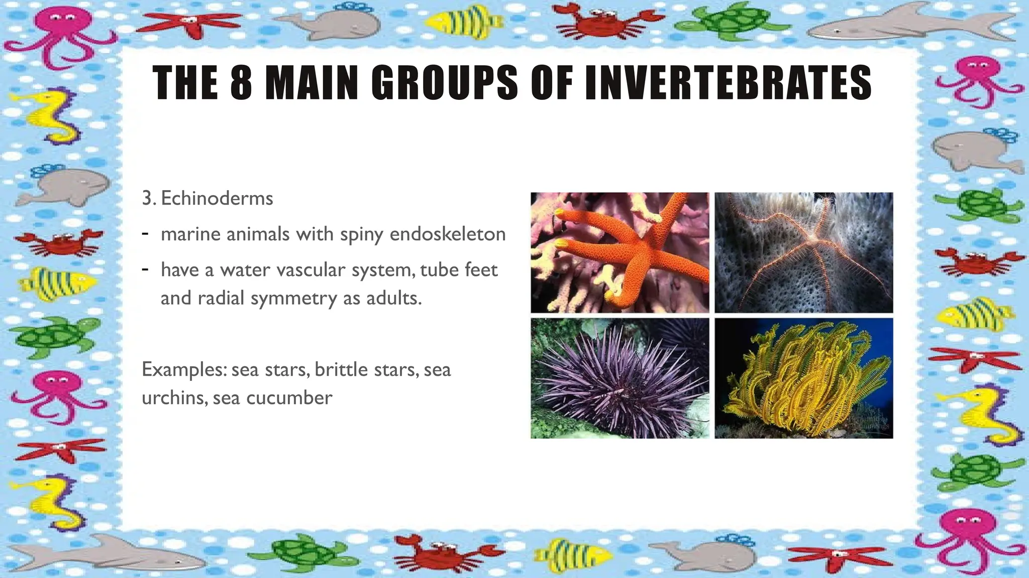 GRADE 6 - CHARACTERISTICS OF INVERTEBRATES.pptx