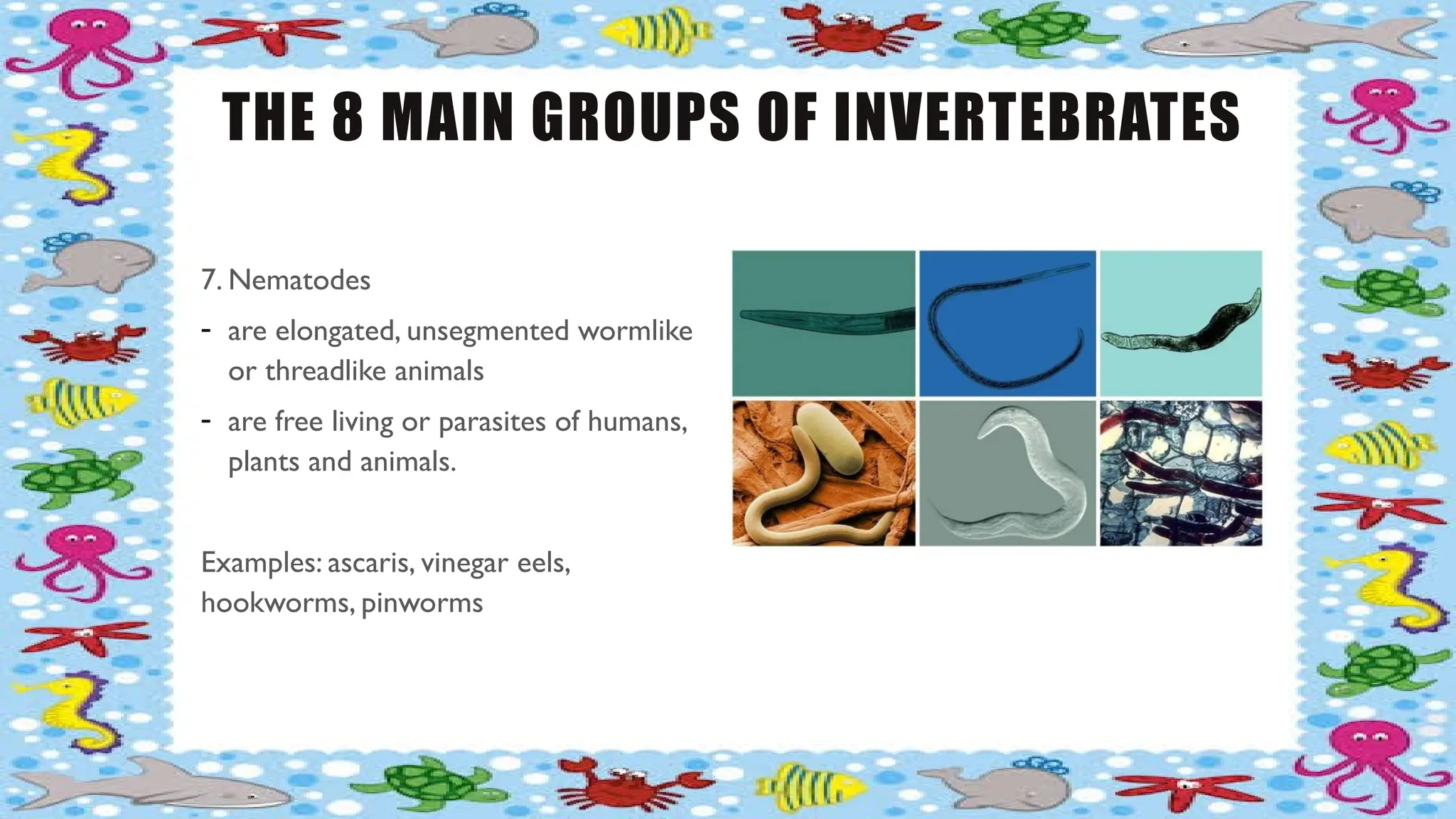 GRADE 6 - CHARACTERISTICS OF INVERTEBRATES.pptx