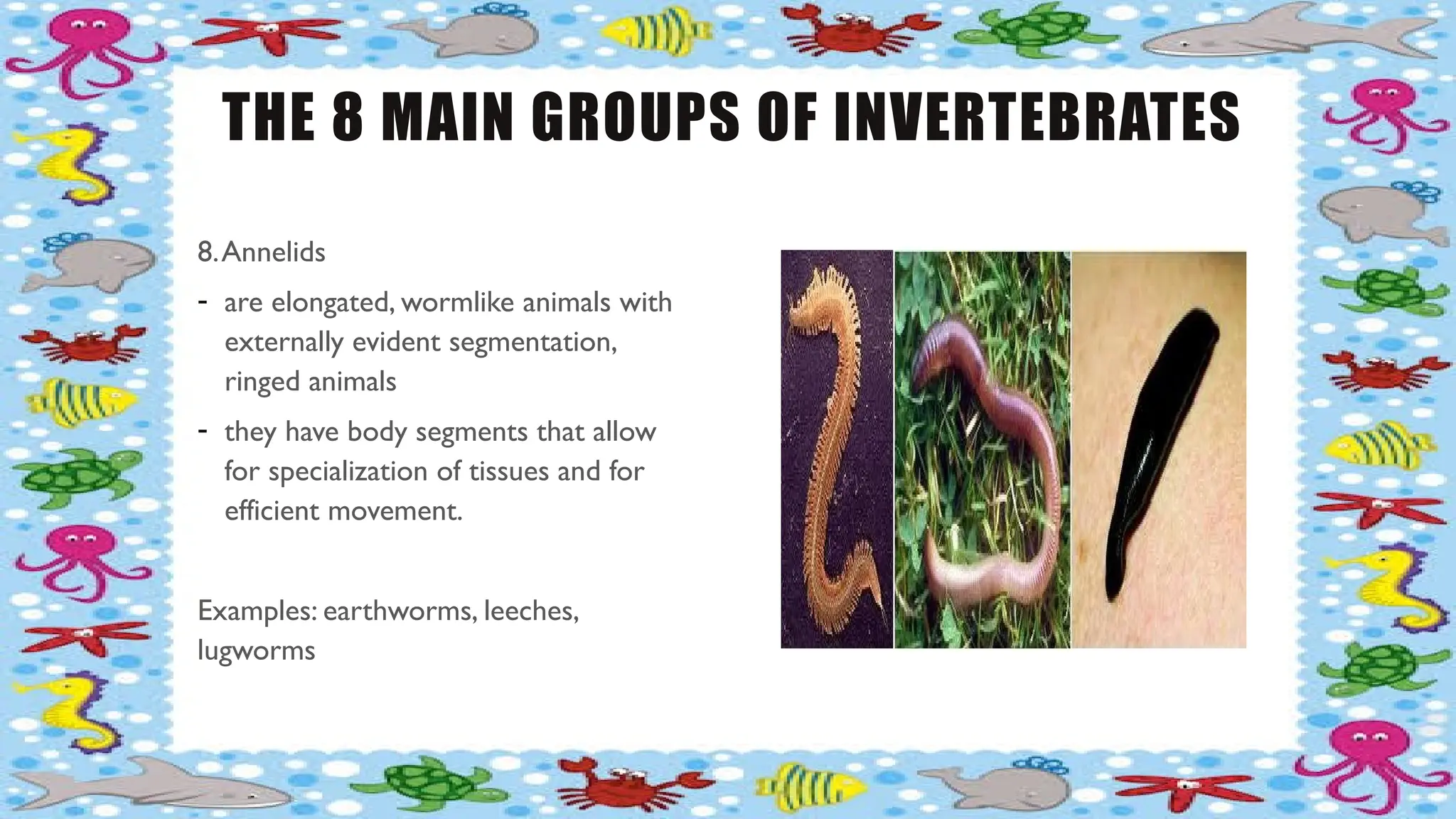 GRADE 6 - CHARACTERISTICS OF INVERTEBRATES.pptx