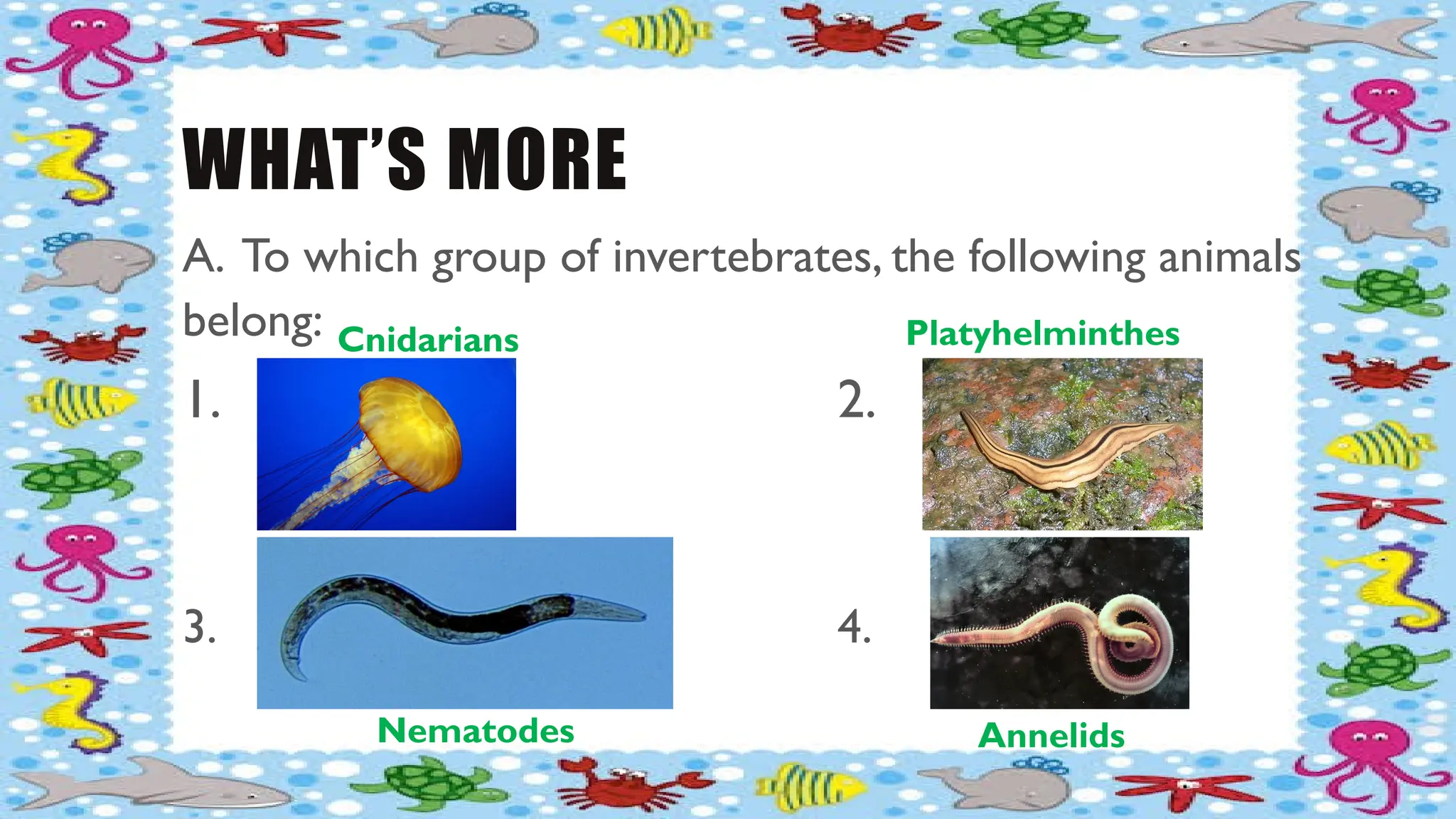 GRADE 6 - CHARACTERISTICS OF INVERTEBRATES.pptx