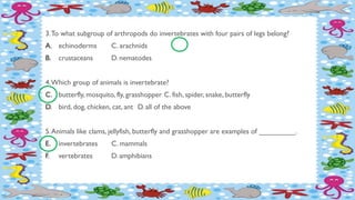 GRADE 6 - CHARACTERISTICS OF INVERTEBRATES.pptx