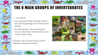 GRADE 6 - CHARACTERISTICS OF INVERTEBRATES.pptx