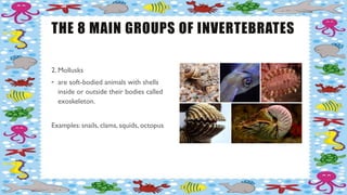 GRADE 6 - CHARACTERISTICS OF INVERTEBRATES.pptx