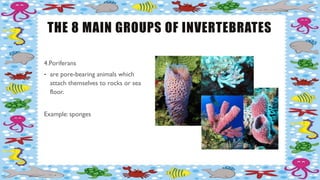 GRADE 6 - CHARACTERISTICS OF INVERTEBRATES.pptx