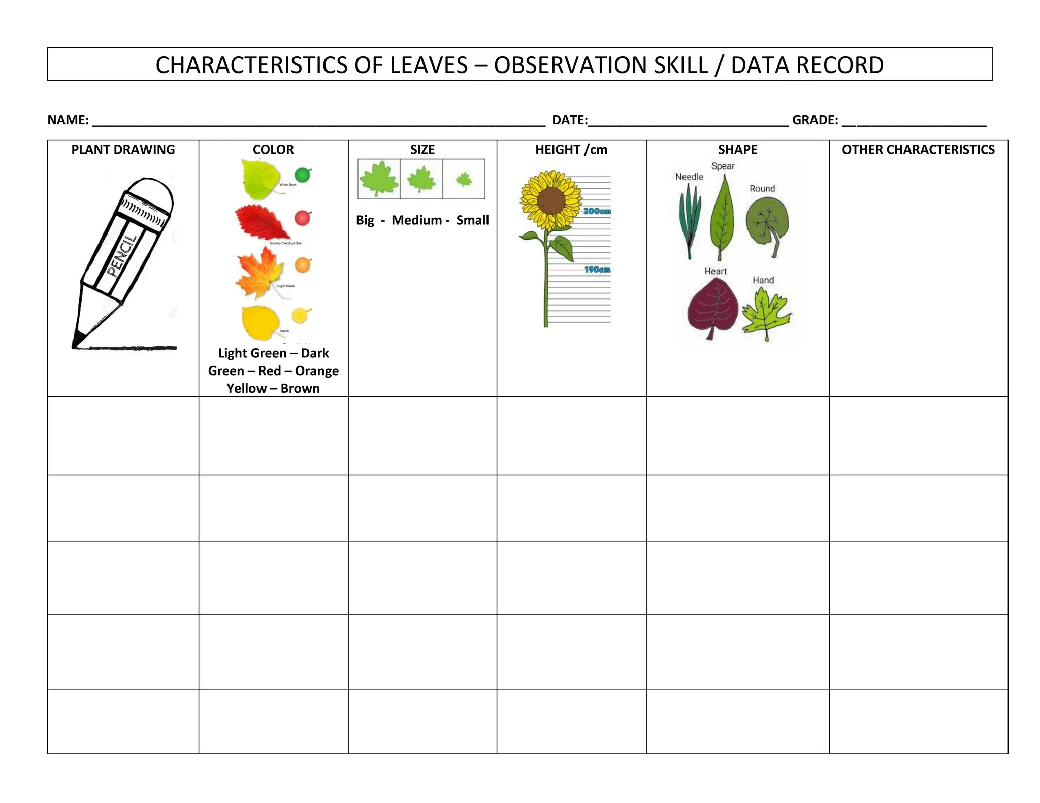 CHARACTERISTICS OF LEAVES and OBSERVATION | PPT