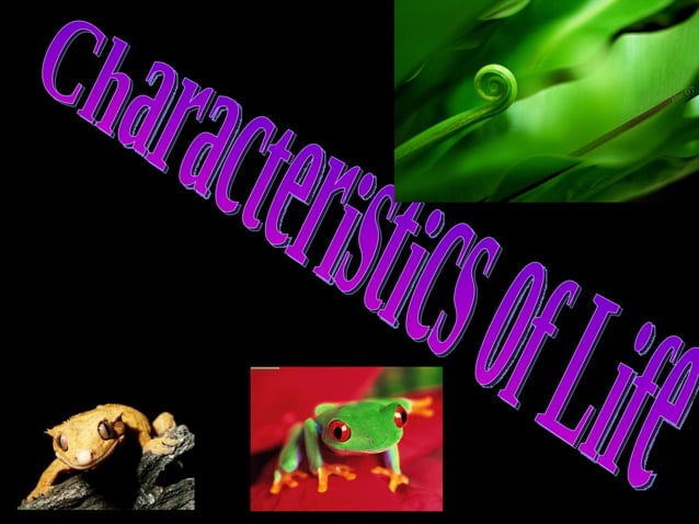 Characteristics of life | PPT