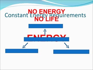 Characteristics of life | PPT