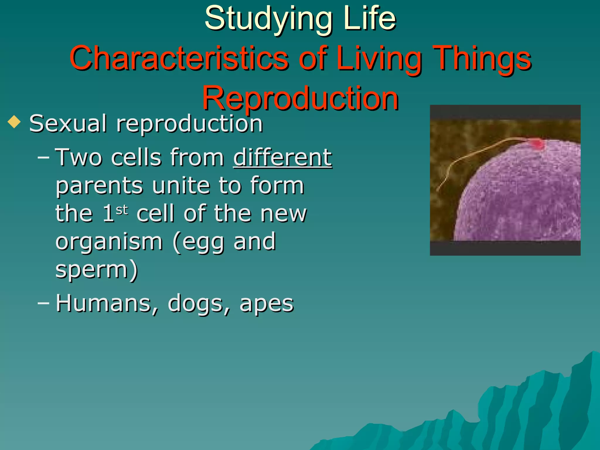 Characteristics of life | PPT