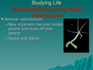 Characteristics of life | PPT