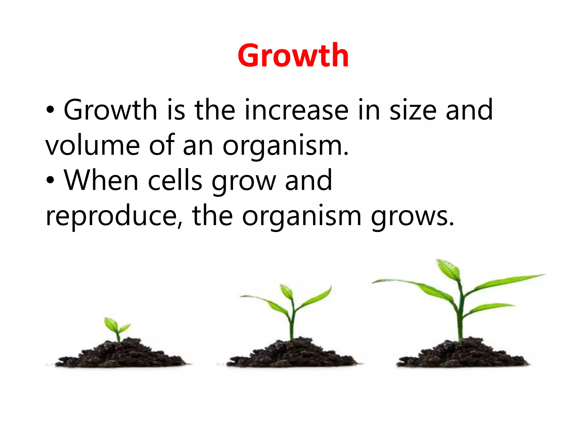 Characteristics of Life | PPTX | Biological Sciences | Science