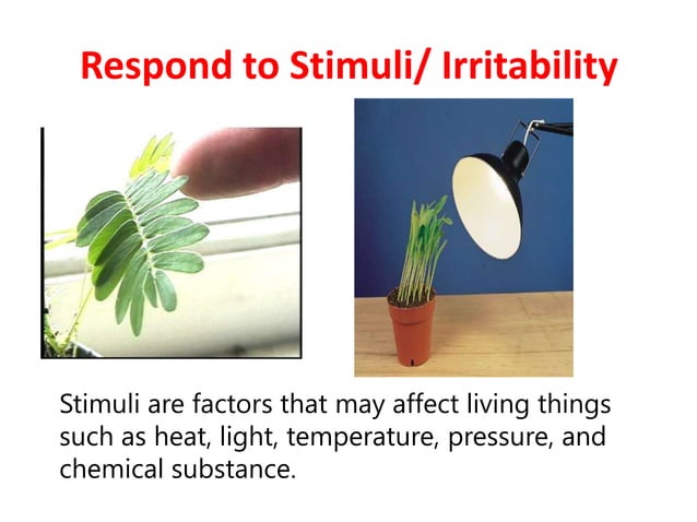 Characteristics of Life | PPTX | Biological Sciences | Science