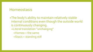 Characteristics of Life | PPTX