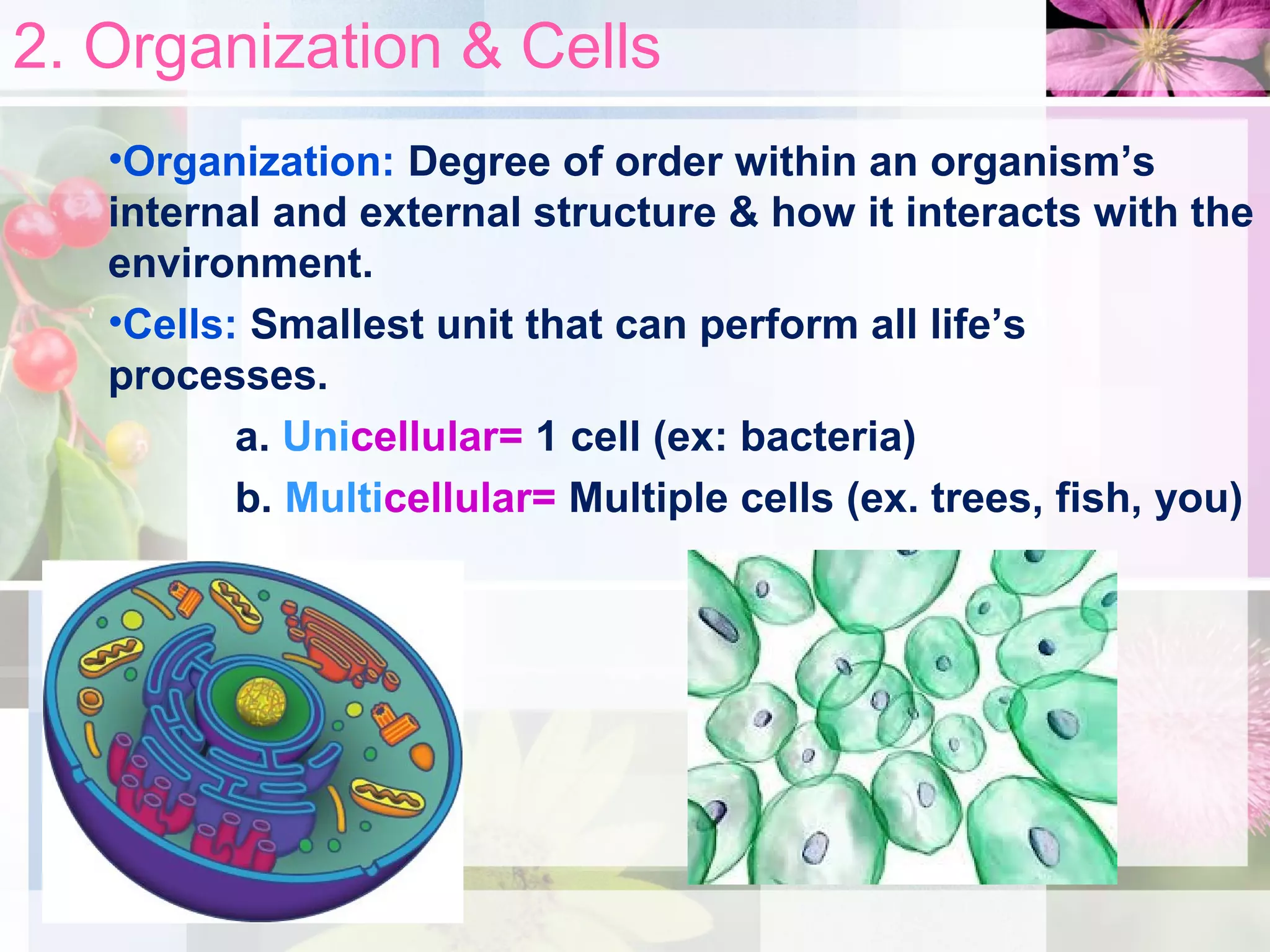 Characteristics of life | PPT