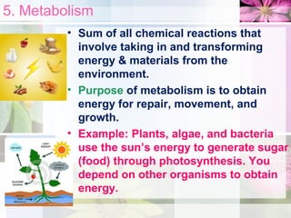 Characteristics of life | PPT