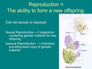 Characteristics of Life -CHRMD-.pdf