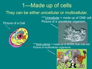 Characteristics of Life--updated.ppt