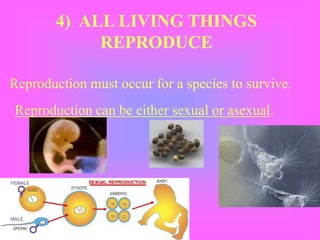 Characteristics of Life 10.ppt | Free Download