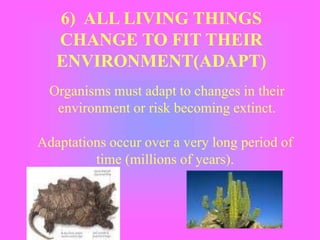 Characteristics of Life 10.ppt