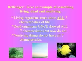 Characteristics of Life 10.ppt