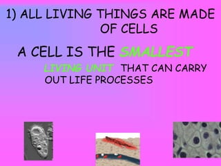 Characteristics of Life 10.ppt