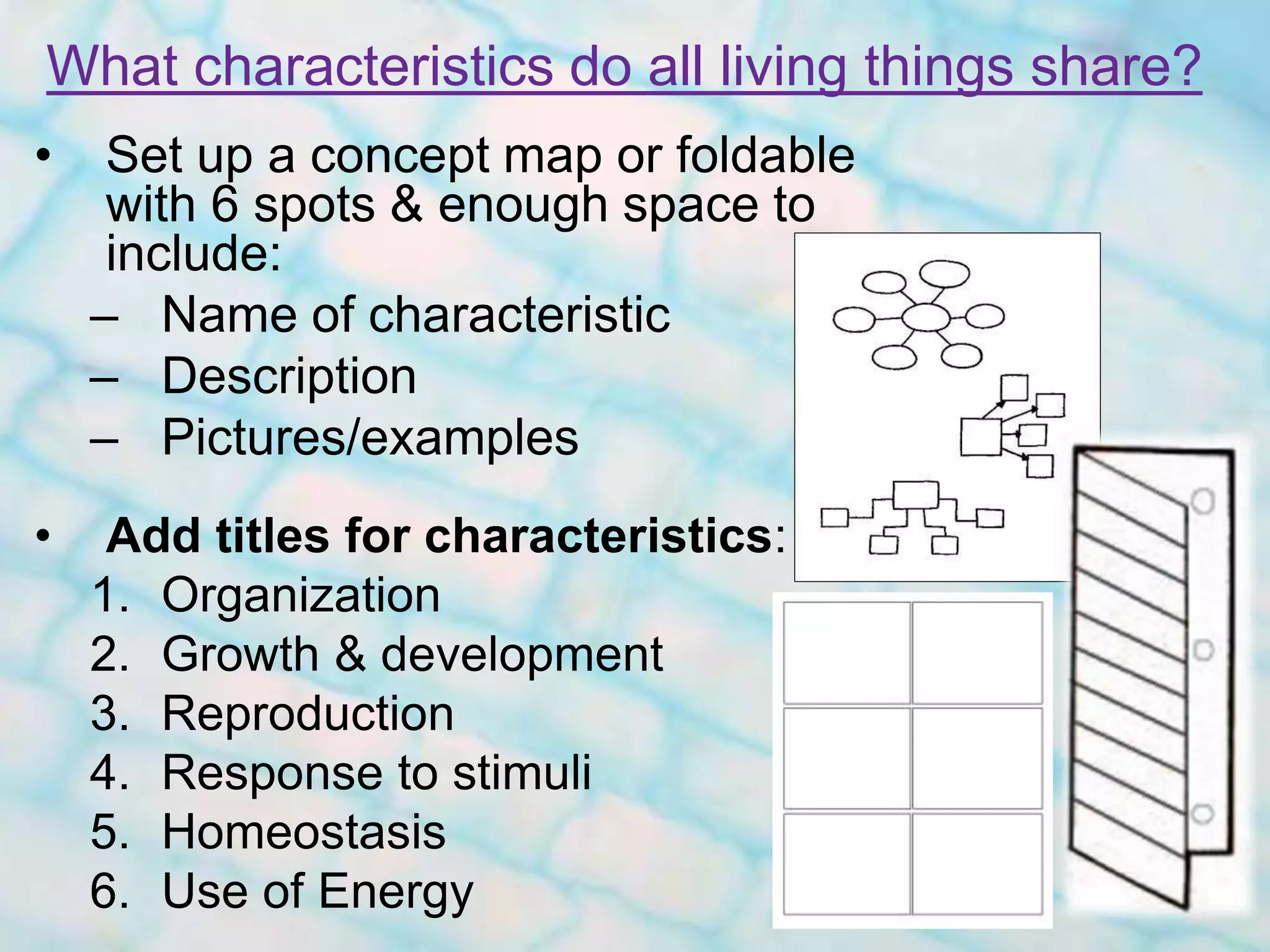 Characteristics of life notes review | PPTX