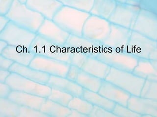 Characteristics of life notes review | PPTX