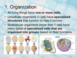 Characteristics of life notes review | PPTX