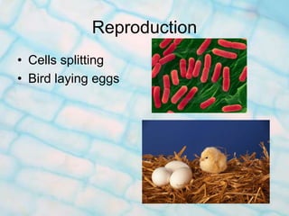 Characteristics of life notes | PPT