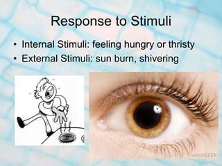 Characteristics of life notes | PPT