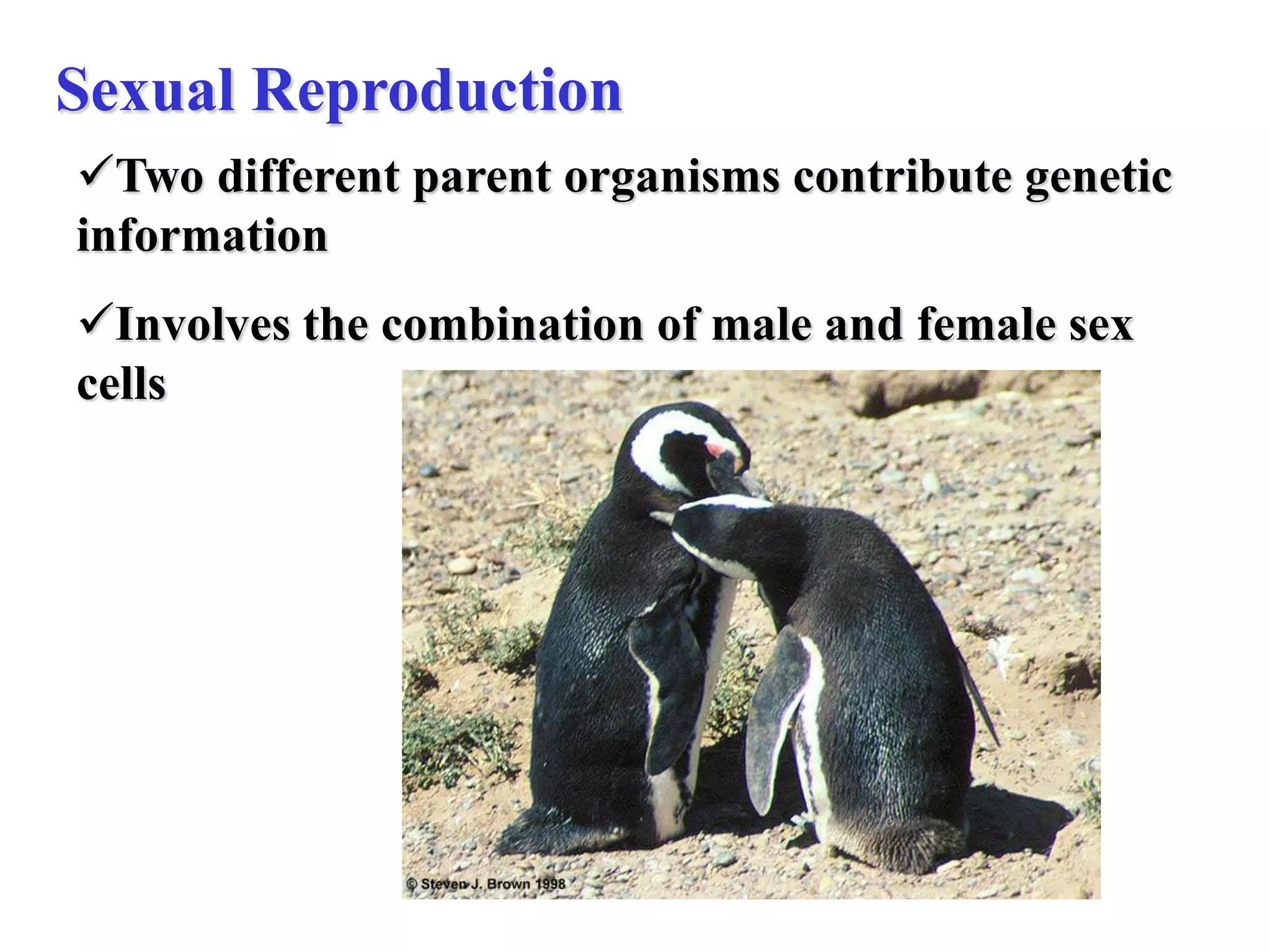 Characteristics of life & parts of the cell.ppt