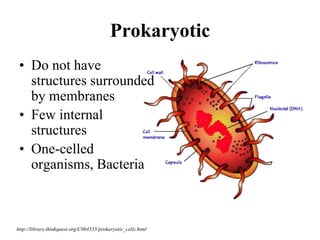Characteristics of life & parts of the cell.ppt