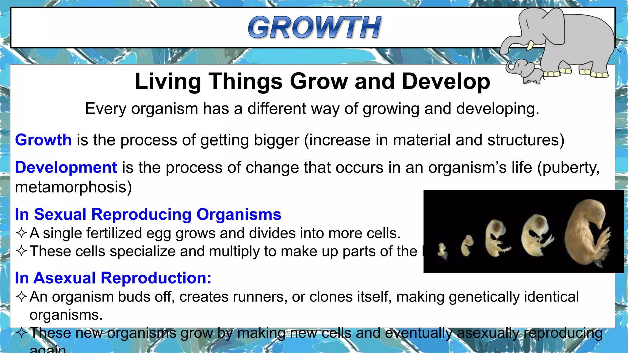 LT1.1 Characteristics of Life ppt | PPTX