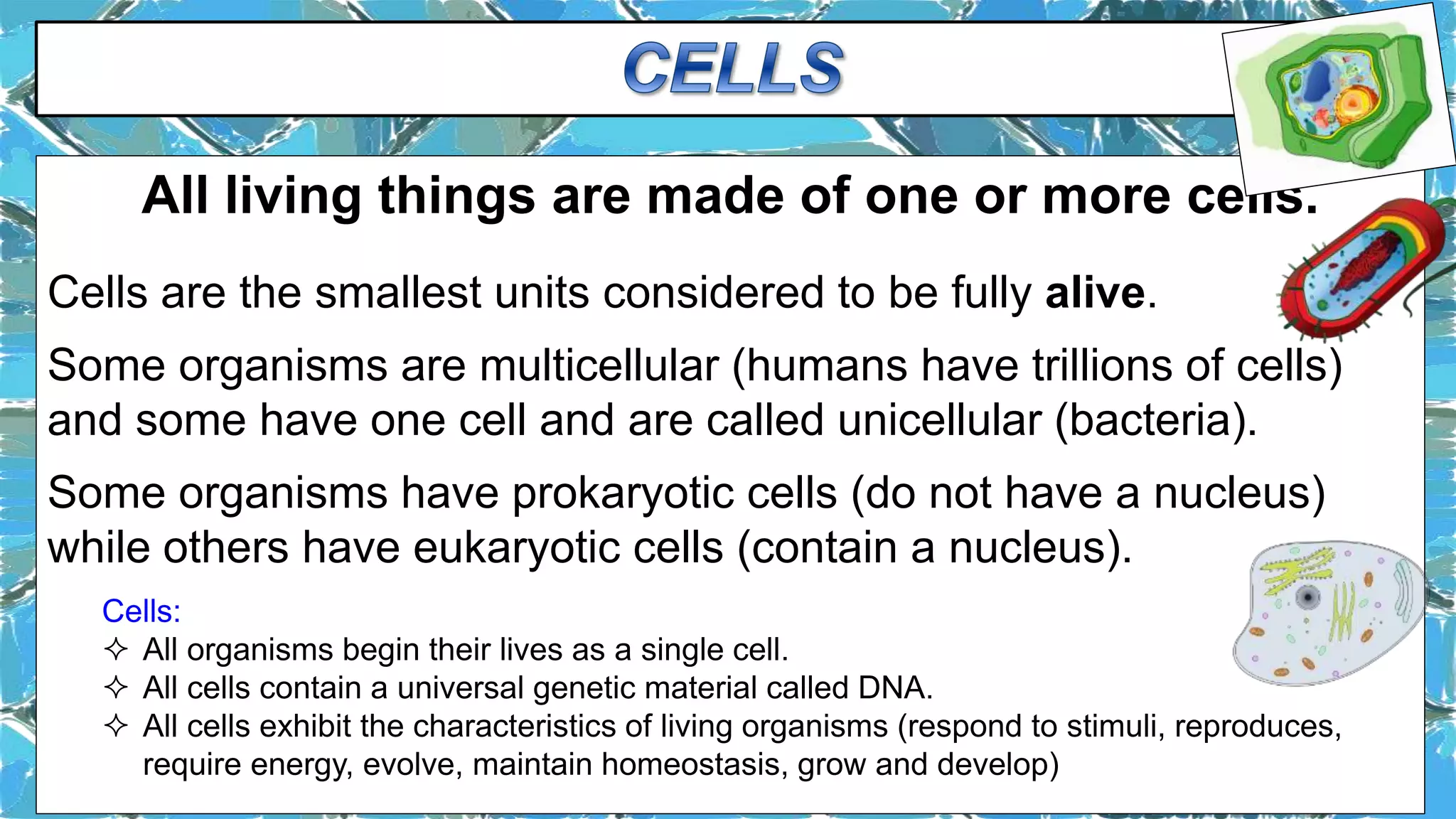 LT1.1 Characteristics of Life ppt | PPTX