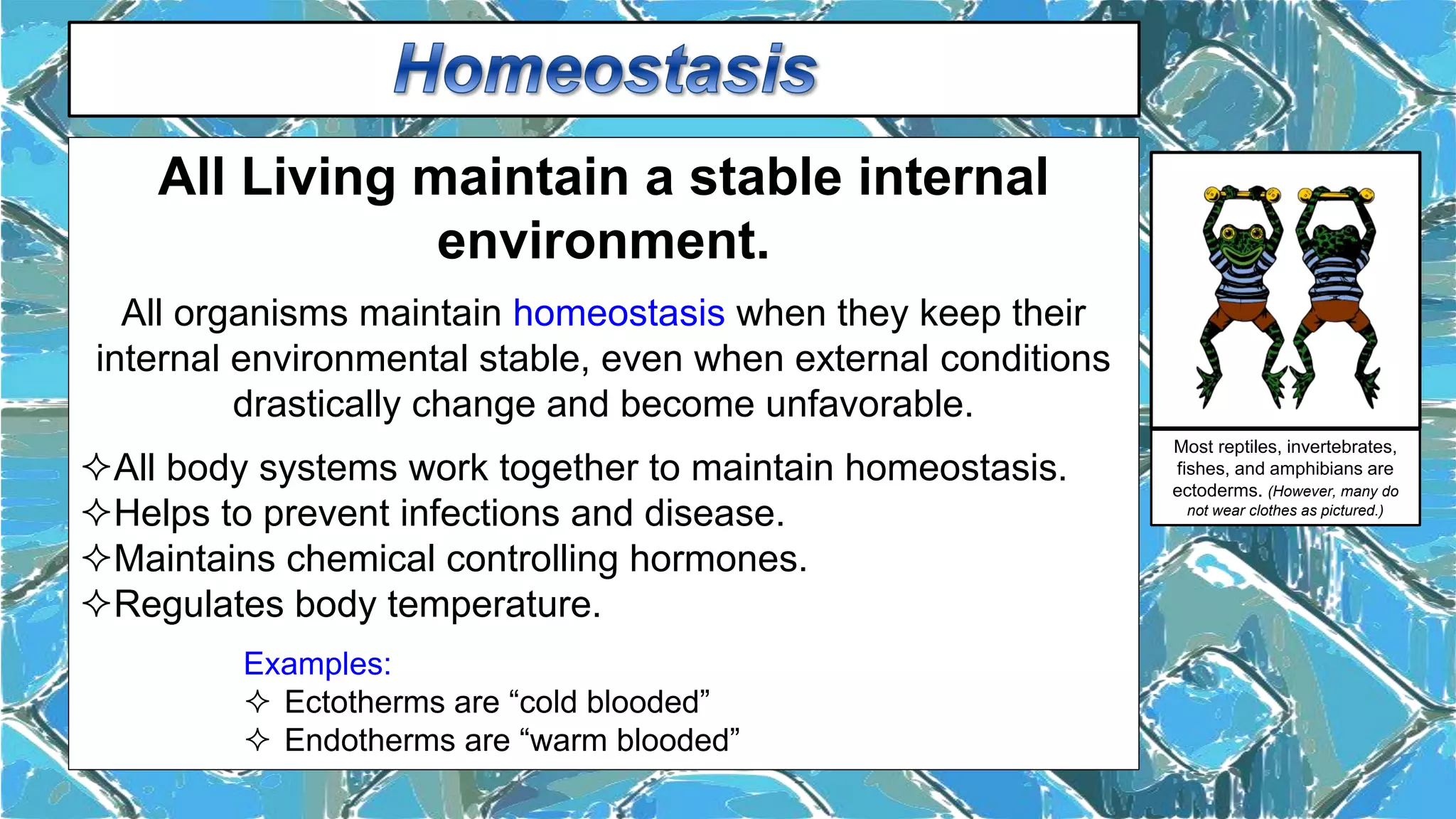 LT1.1 Characteristics of Life ppt | PPTX
