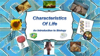LT1.1 Characteristics of Life ppt | PPTX