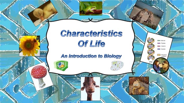 LT1.1 Characteristics of Life ppt | PPTX